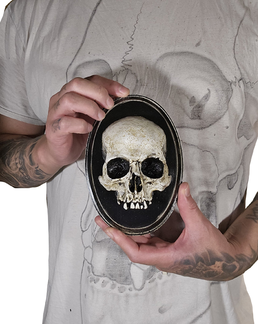 Skull Shoppe: Human skull replicas and skull models