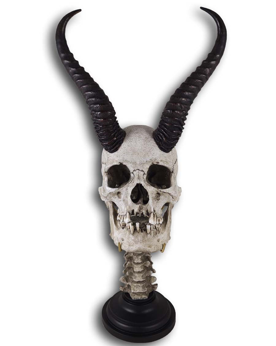 Horned skull with Spine Stand – Skull Shoppe